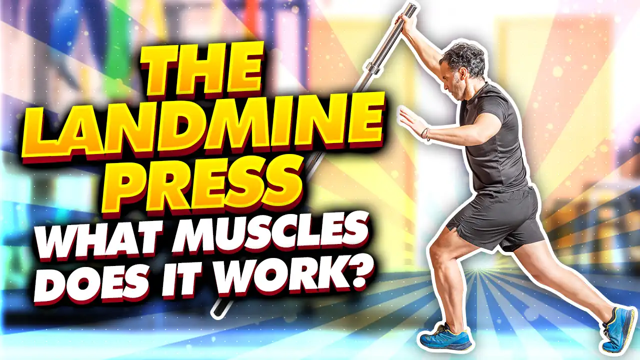 Landmine Press Muscles Worked Plus Best Variations Landmine Press Muscles Worked Plus Best Variations